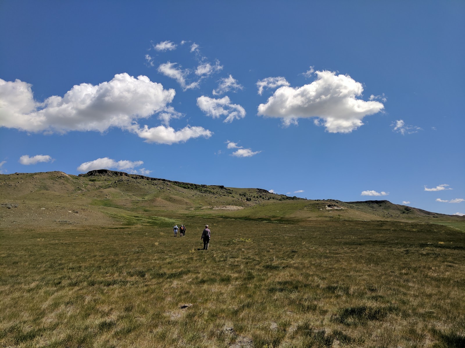WildDakotaWoman TM: Black Butte. Slope County, North Dakota