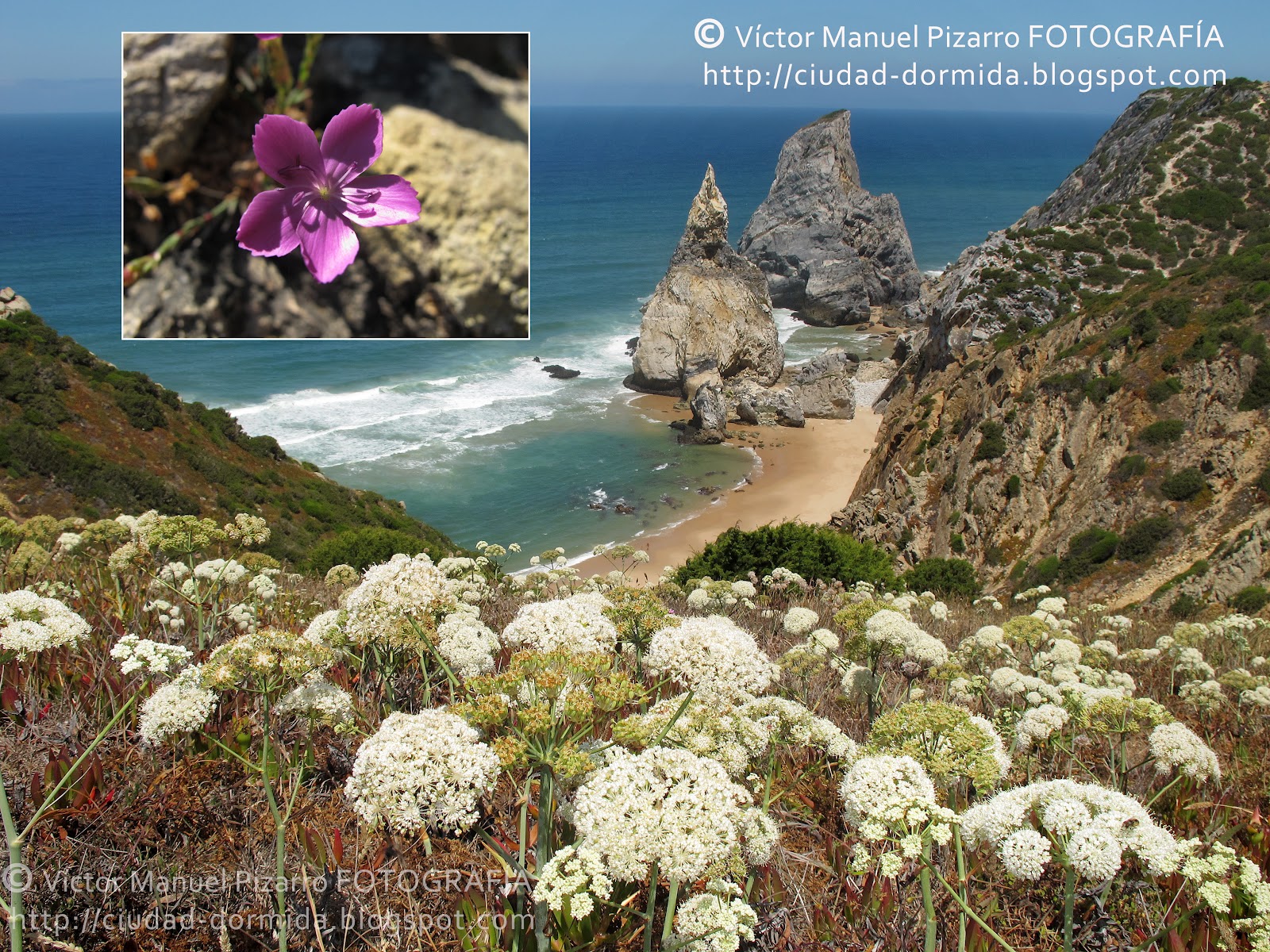 Ciudad-dormida: Playa de Ursa, la playa de los osos de piedra. Cabo da ...