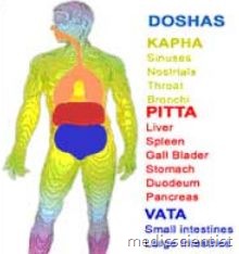HEALTH: Ayurveda Body Type