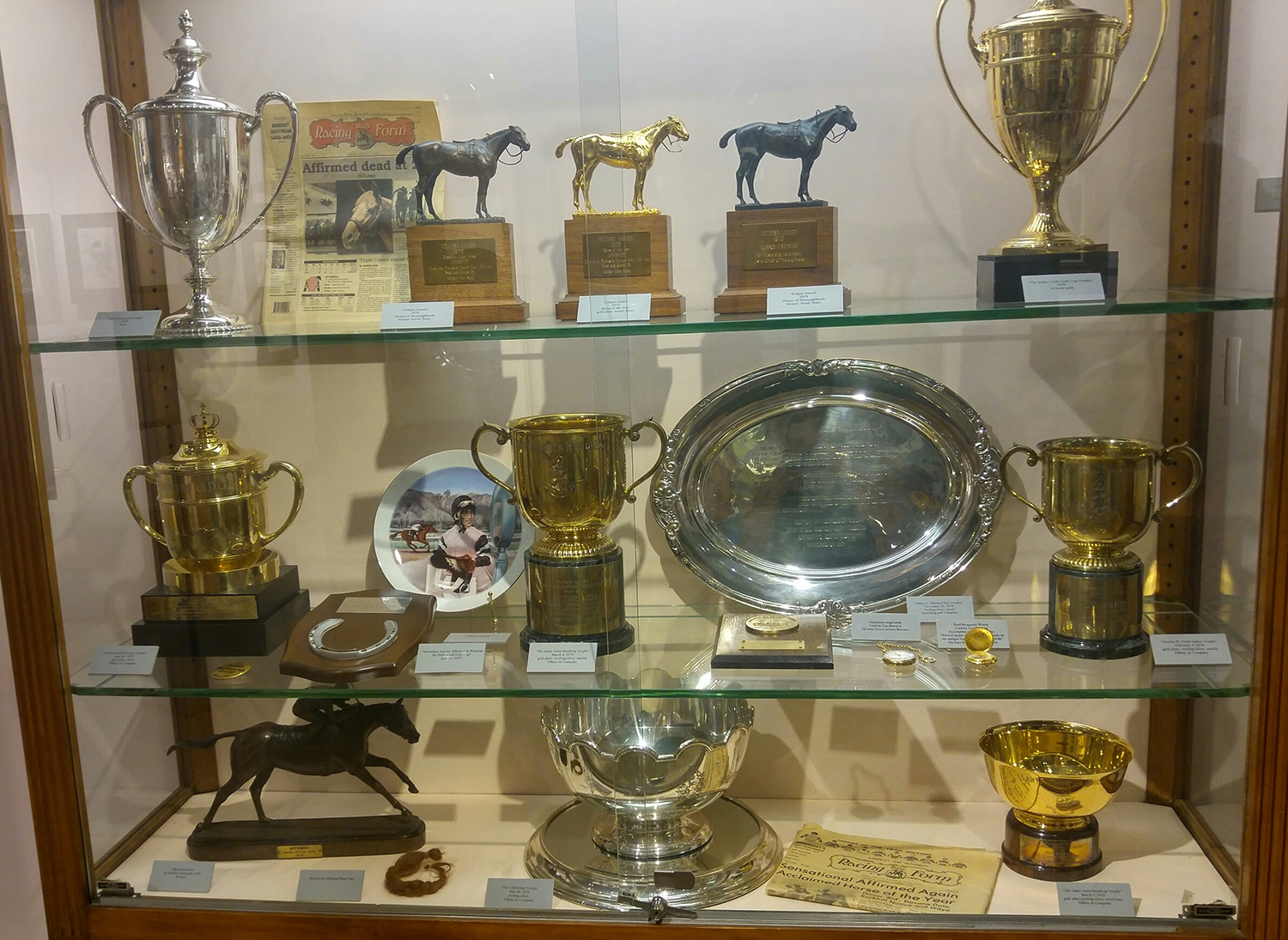 Model Horse Collectibility: May 2017