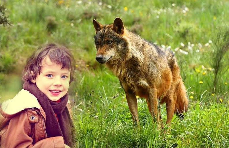 Comando Lobo: Lobo en paz, un secreto de cuatro patas