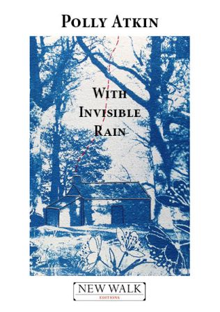 Everybody's Reviewing: Reviews by Lee Wright of "With Invisible Rain ...