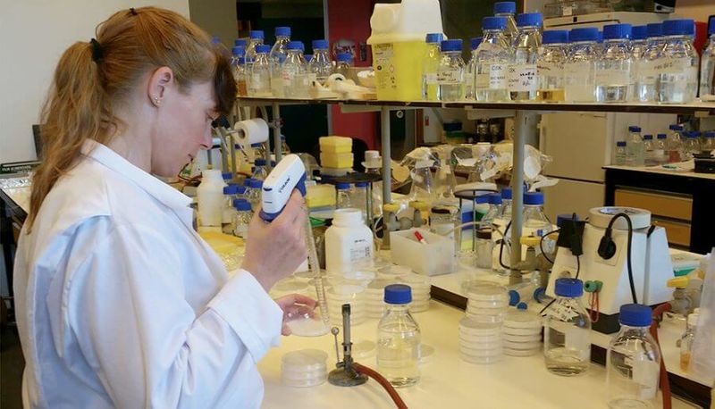 Últimas Tendencias: MycoTEX es un material 100% biodegradable hecho de ...