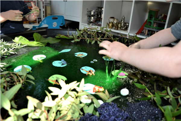 Arthurwears: How to set up a Life cycle of a Frog Tuff Tray Pond