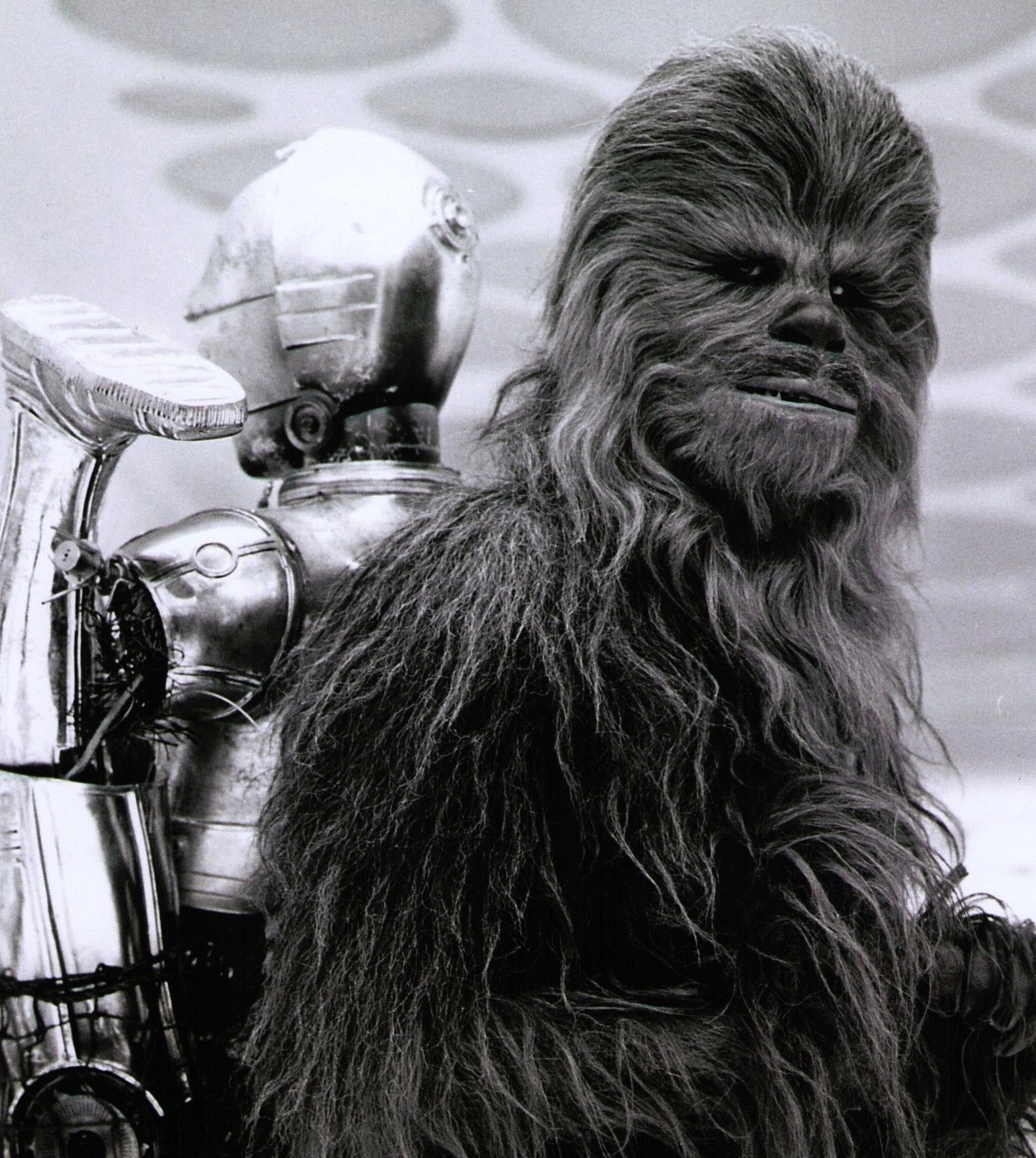 STAR WARS AFICIONADO WEBSITE: CLASSIC IMAGE: THE NOBLE WOOKIEE!