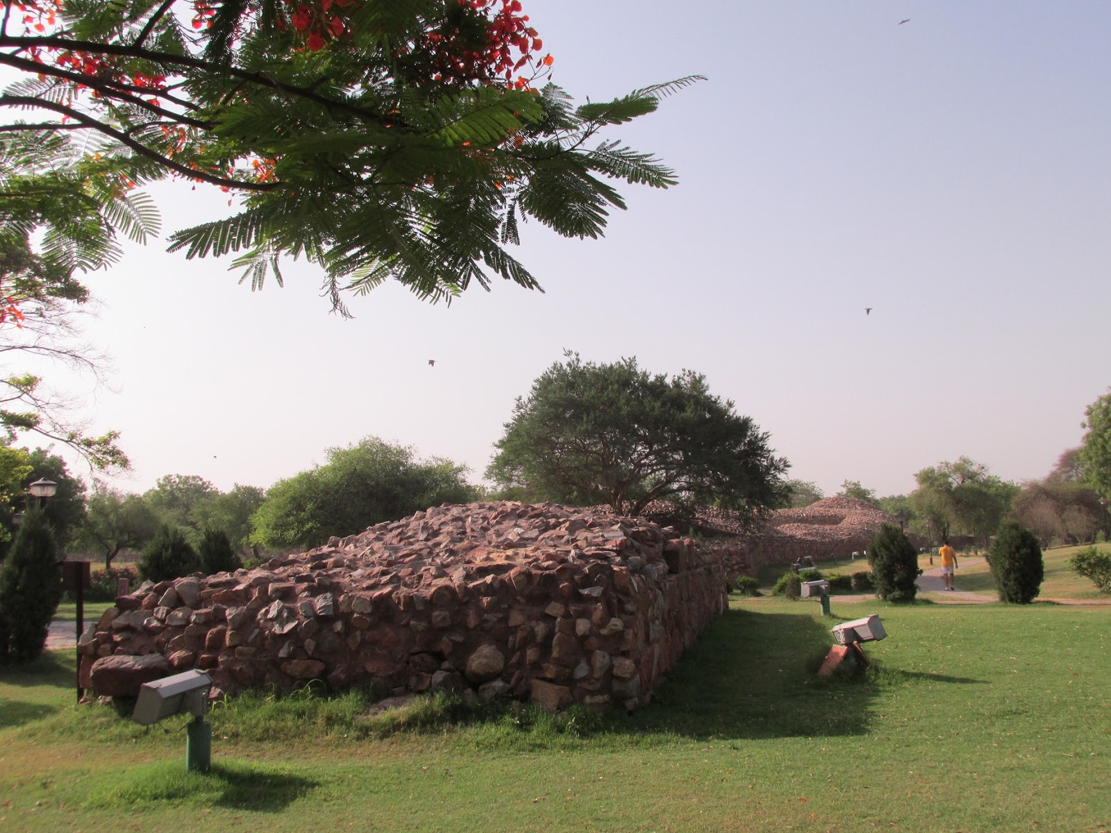 Qila Rai Pithora - The first city of Greater Delhi
