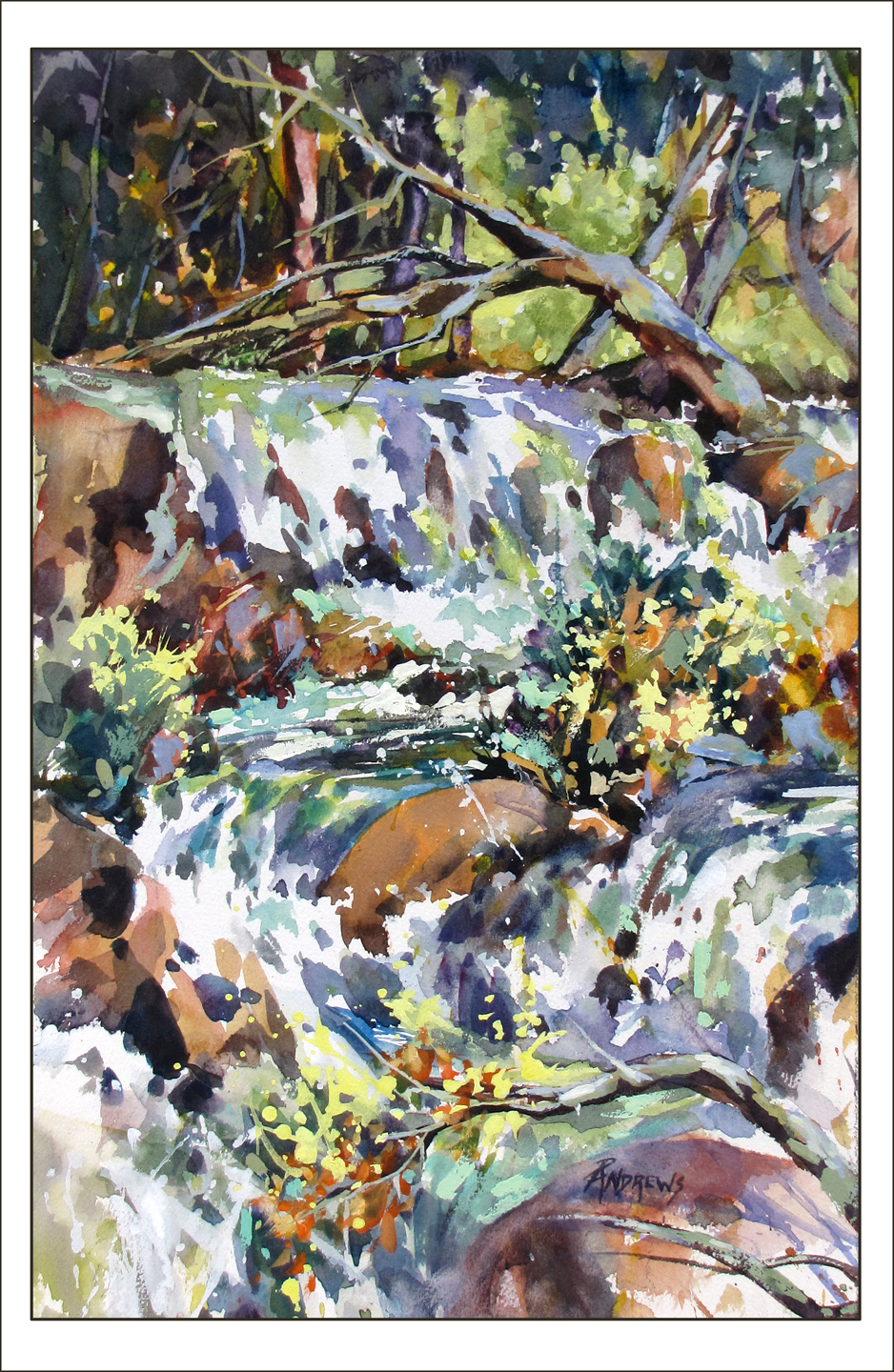 Rae Andrews : Rainforest Tumble..Watercolor and Gouache..Texas Artist ...