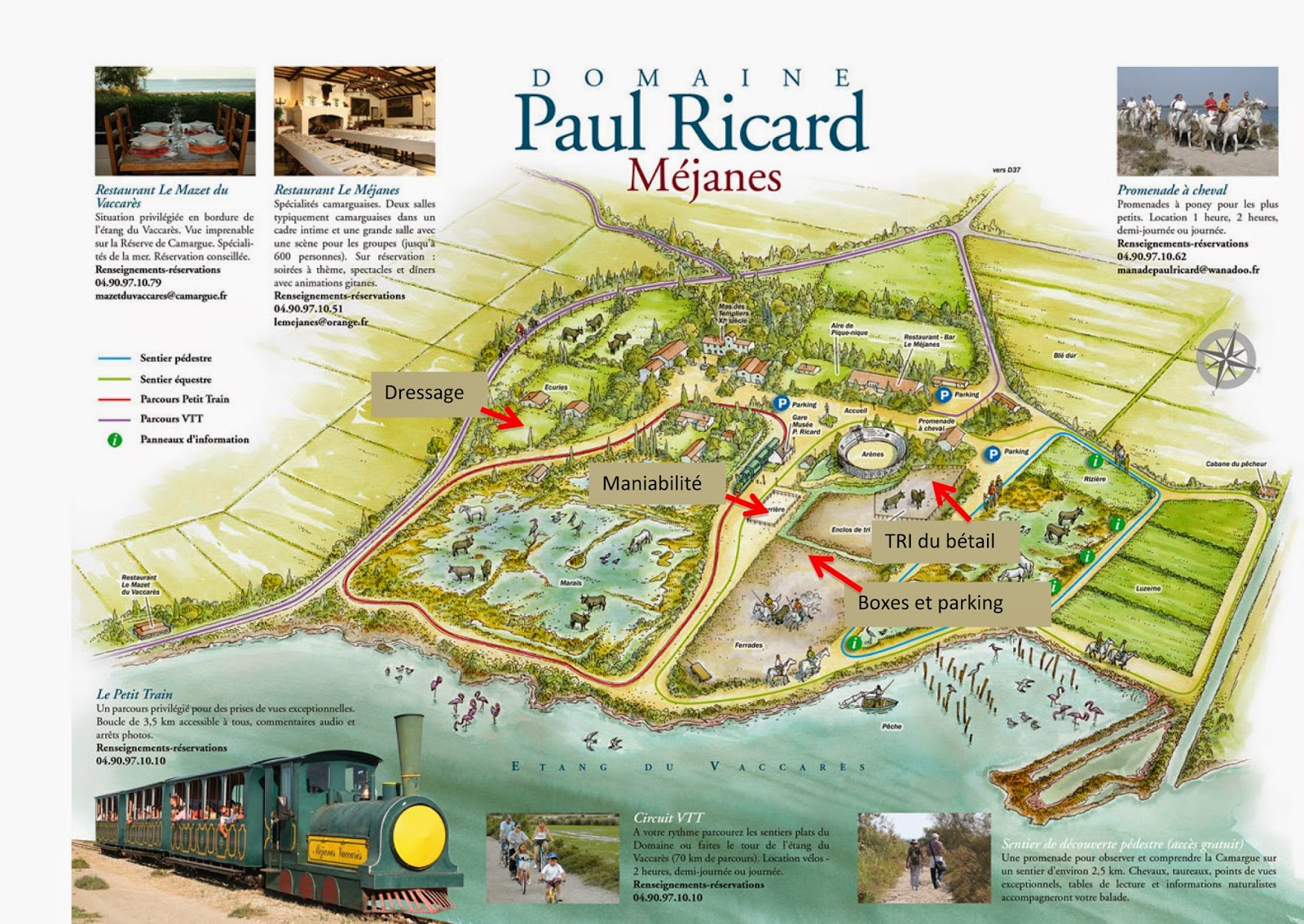 équitationdetravail: CHAMPIONNAT DE FRANCE OFFICIEL FFE EQUITATION DE ...