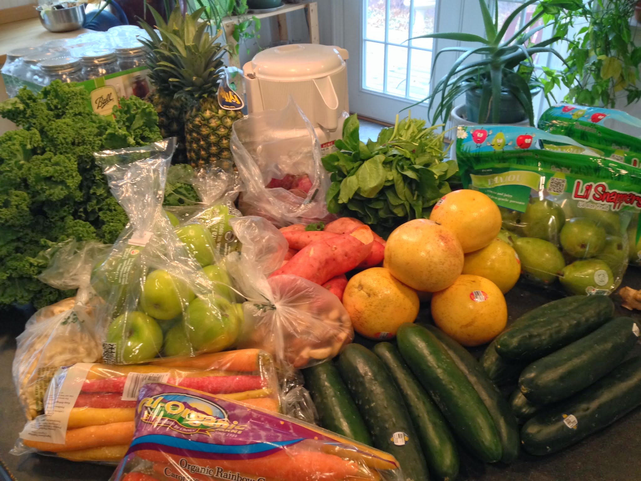 My First Ever Juice Cleanse » DIY Style ~ ahimsa