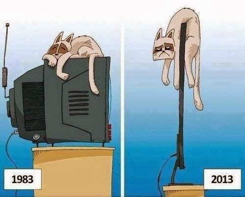 All That Spam: Cat in 1983 Laying on Top of a CRT TV