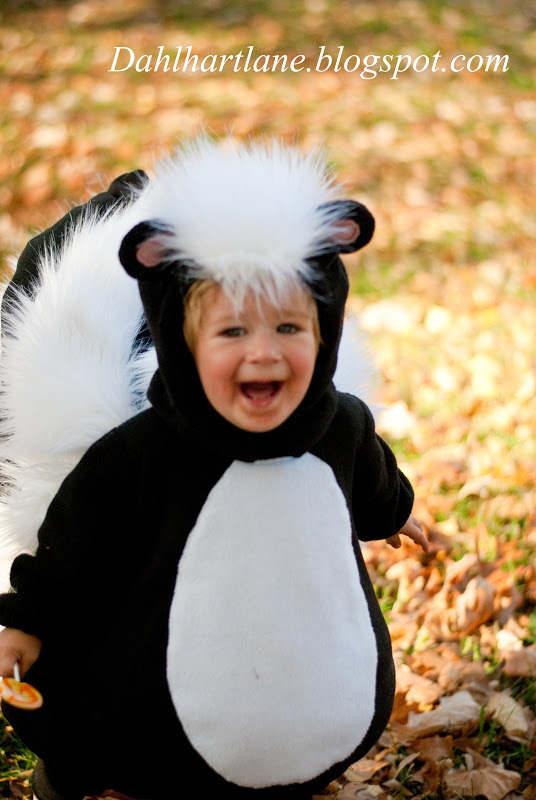 Dahlhart Lane: Skunk Costume