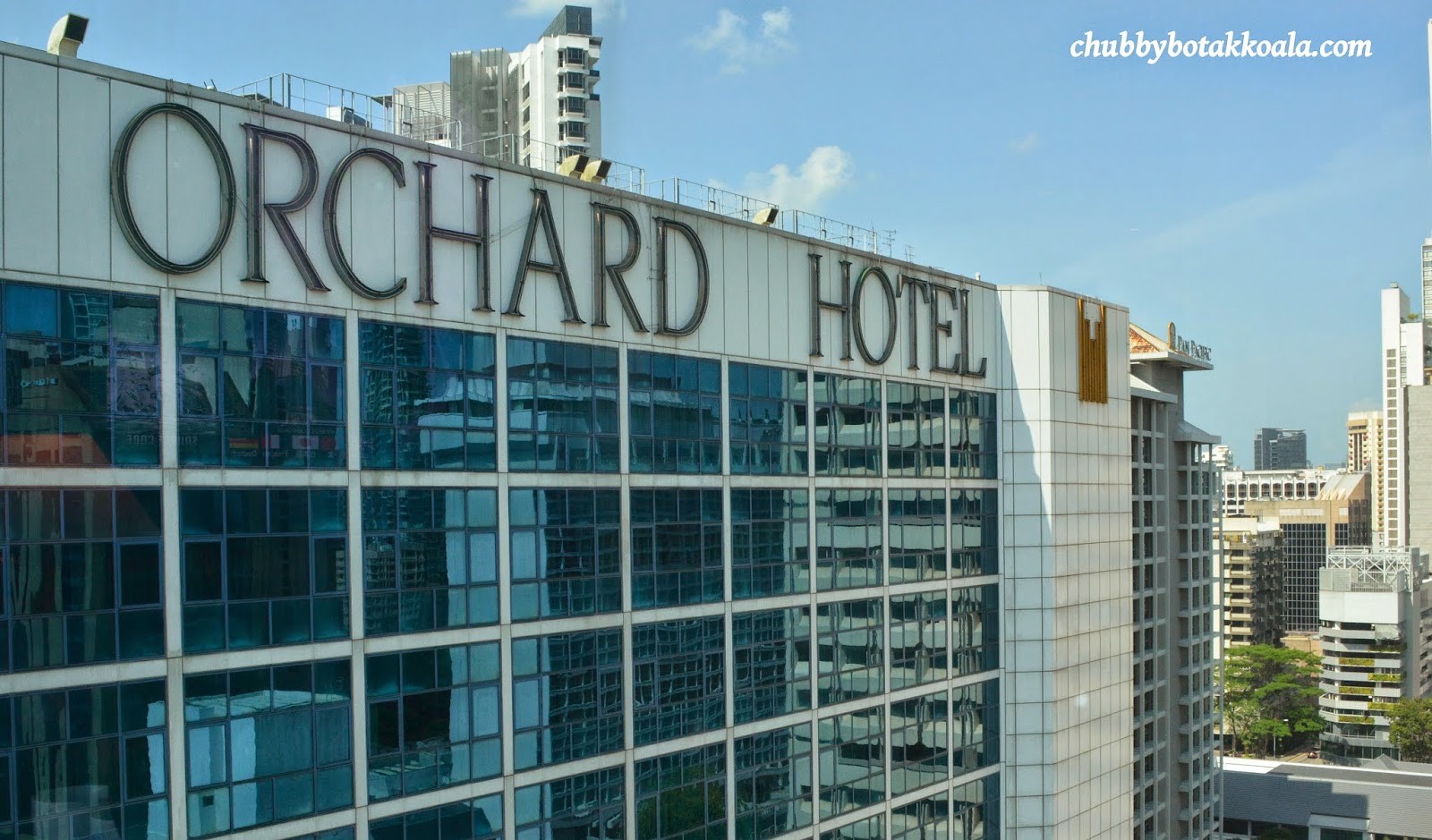 Chubby Botak Koala - Singapore Food Blog, Travel and Lifestyle: Orchard ...