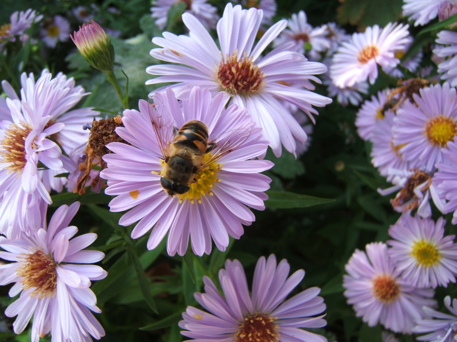 A year in the life of.....