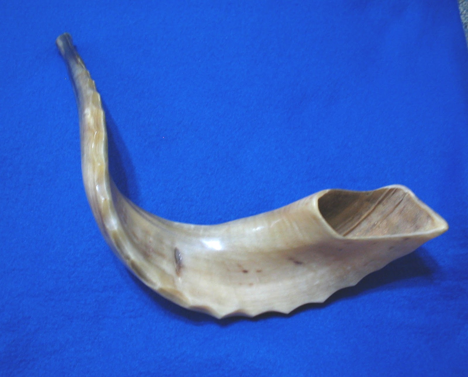 THE SQUARE NAIL: PROCLAIM