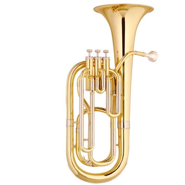 Banda Sinfónica del Municipio de Uramita: Estructura de una Banda Sinfónica