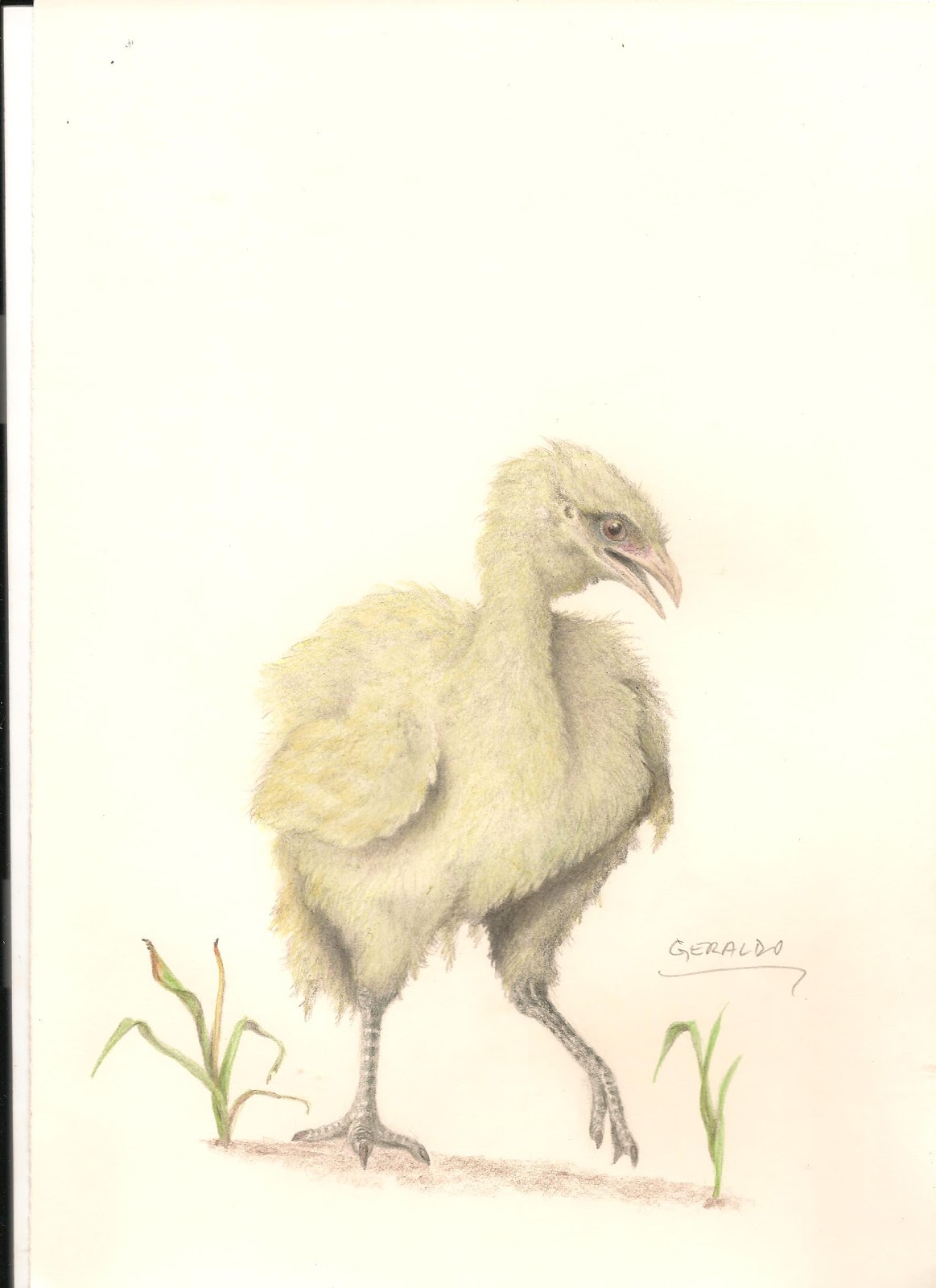 Prehistoric animals - The ZT2 Round Table