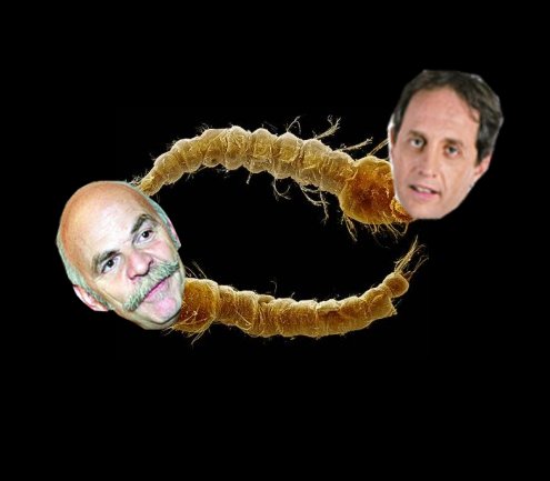 LA VERGÜENZA DE MI FAMILIA: INSECTOS PARASITARIOS AUTÓCTONOS