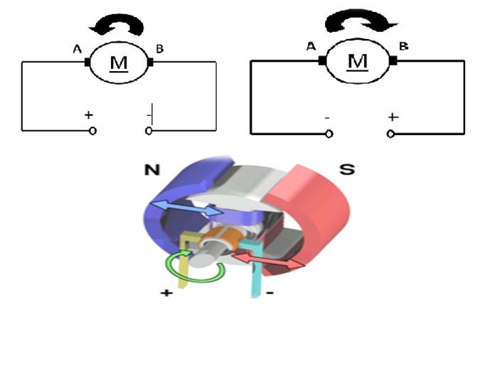 Motor Arus Terus (DC)