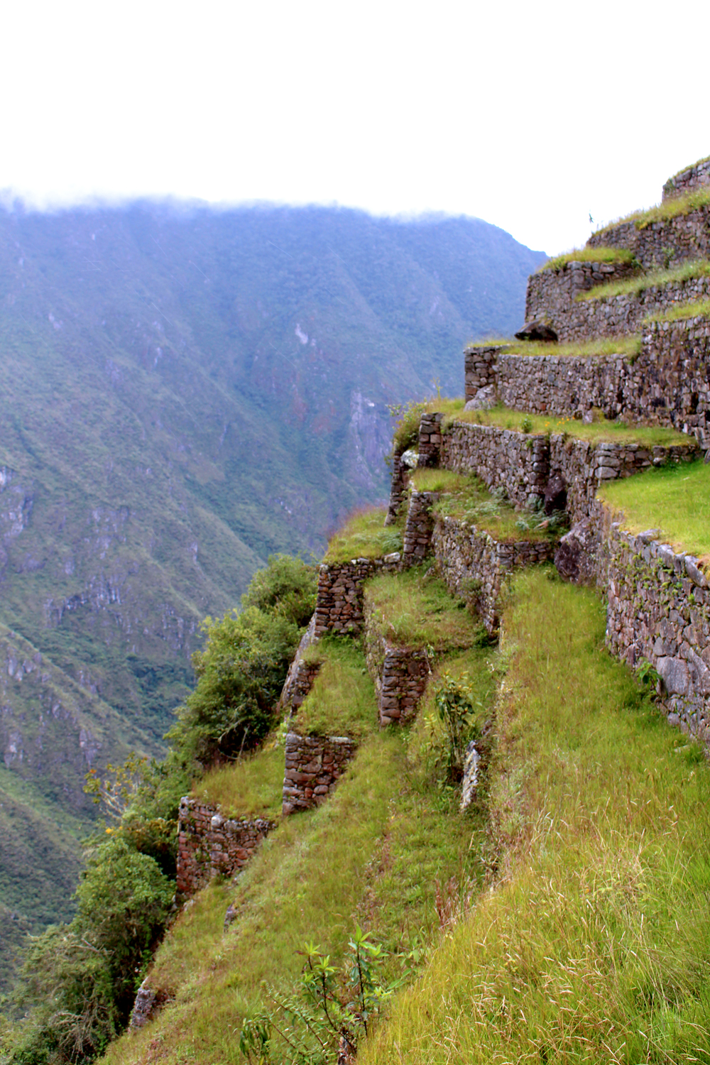 Machu Picchu - Emma Louise Layla