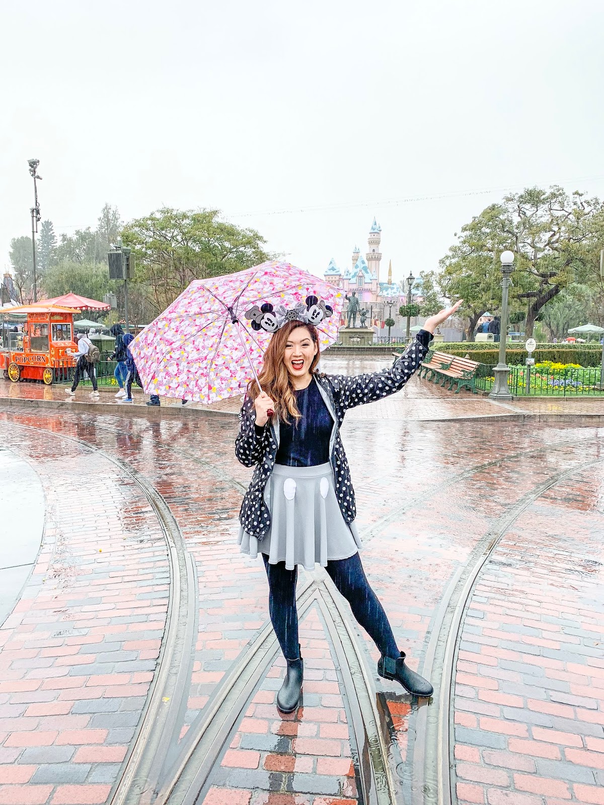 Rainy Days at Disneyland - Our PB&J Adventure Book