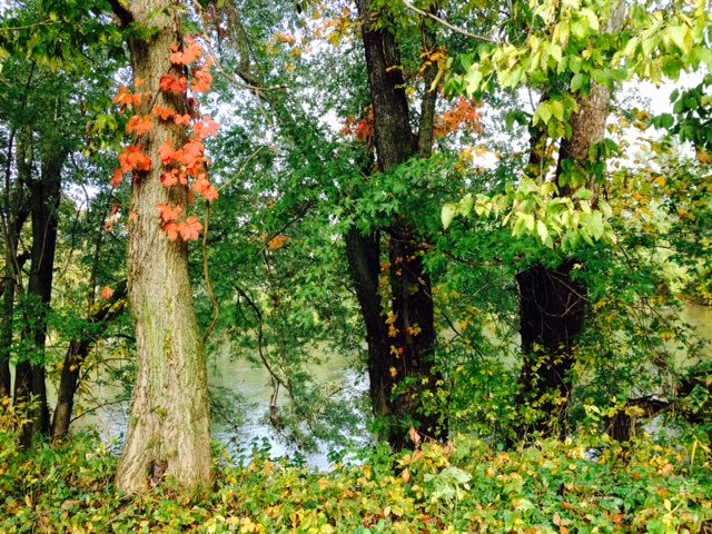 Three Savvy Broads: Walking Locations Around Winchester