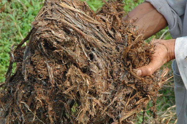 Mengenal Jenis Pupuk Kompos - Kolom Organik