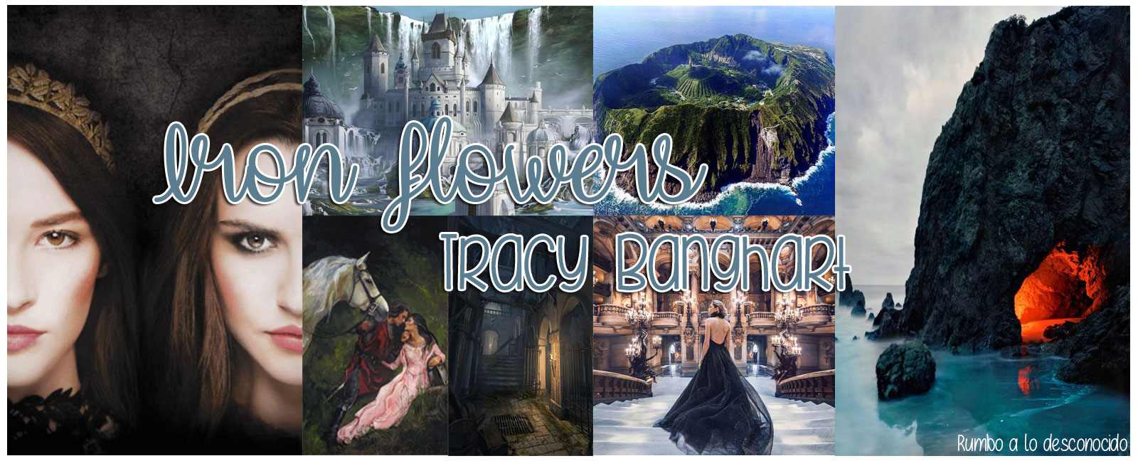 Rumbo a lo desconocido: Reseña | Iron Flowers ~ Tracy Banghart