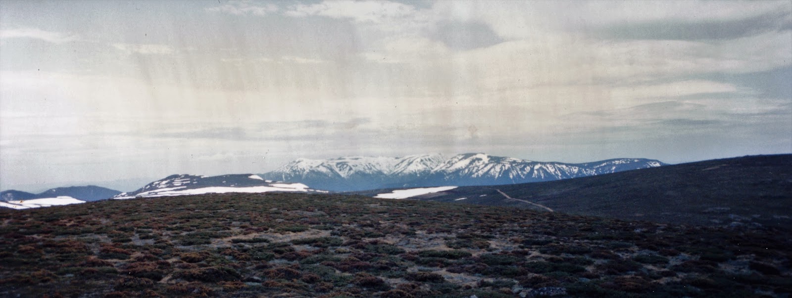 Goin' Feral One Day At A Time: Mount Hotham to Mount Bogong, Alpine ...