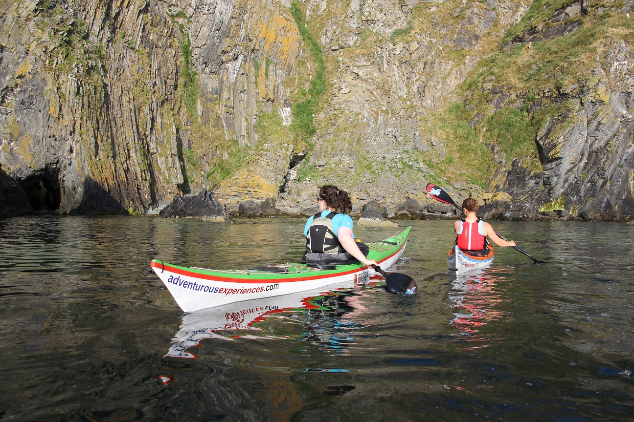 Adventurous Experiences Blog: baby Basking Shark