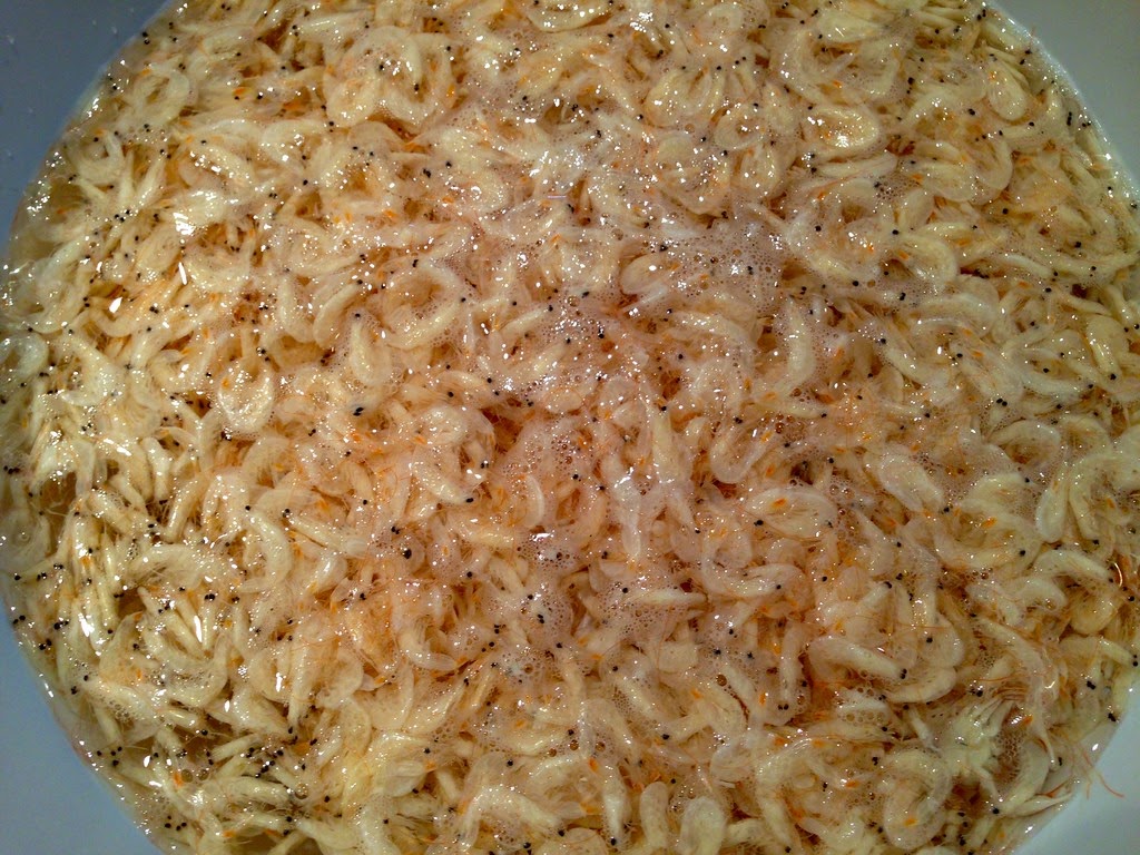 Galmo (Baby Shrimp) Chilli Fry