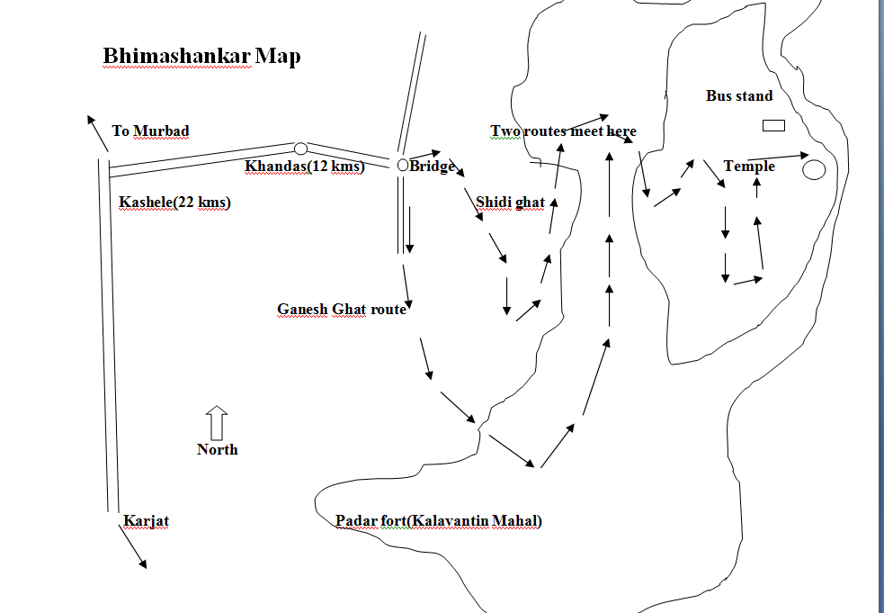 On the Edge of Sahyadris: Bhimashankar trek from Karjat.The King of all ...