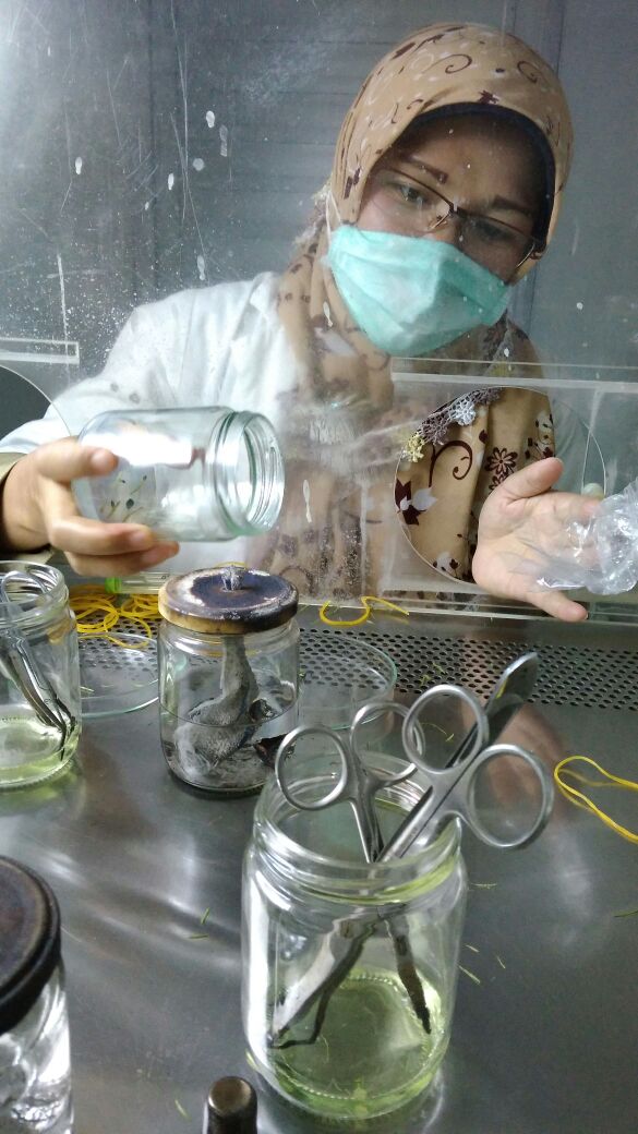 GALERI - KB TPH KLEDUNG