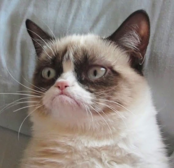 Dear Lucy and Henry: Somehow related to grumpy cat