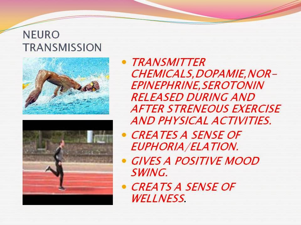 Human Performance Excellence: EXERCISE AND BRAIN FUNCTION