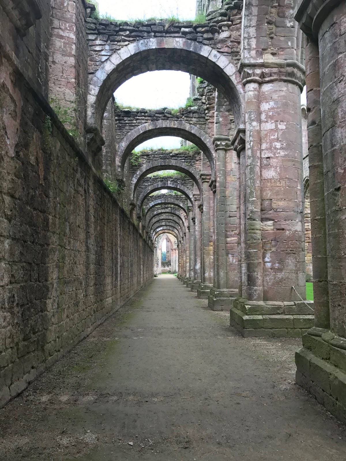 The Helpful Art Teacher: Photography 101: types of camera shots