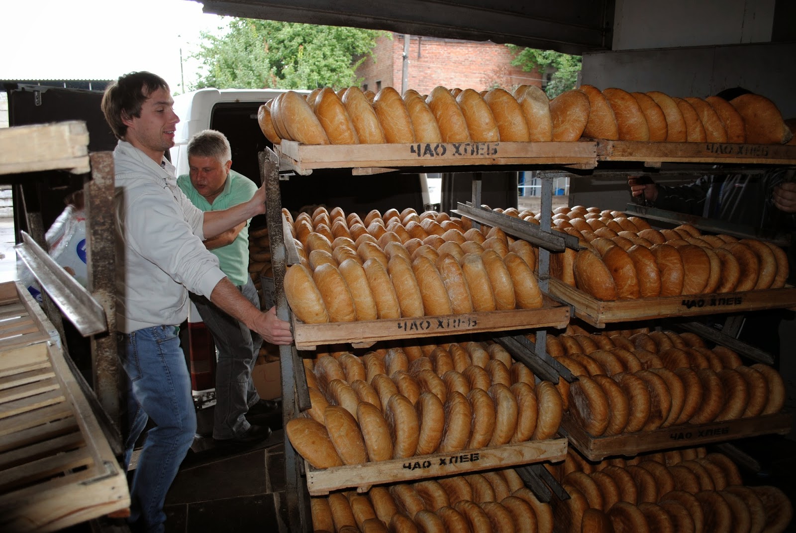 Beauty from the Ashes...