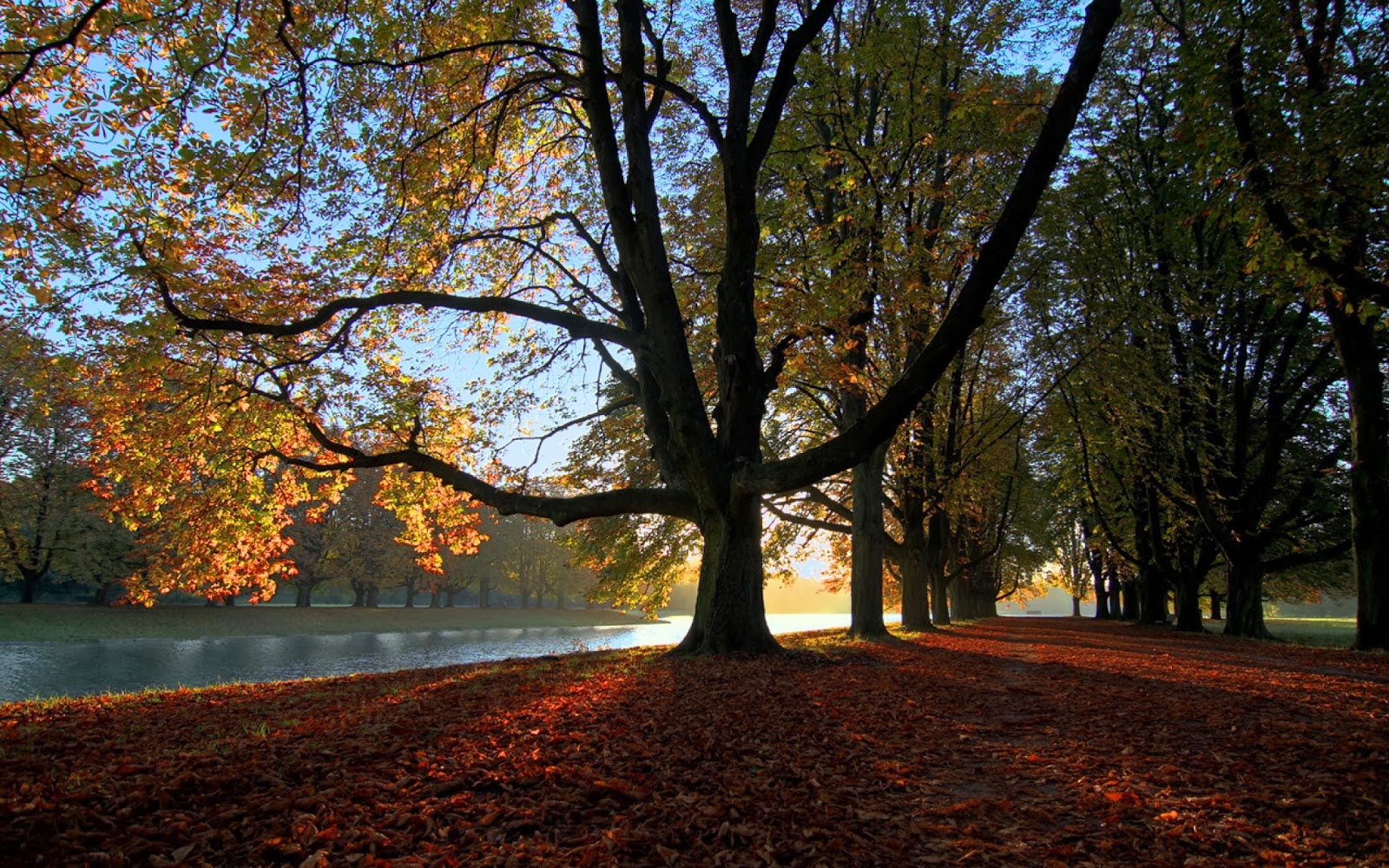 Ewallpics: Farest Wallpapers