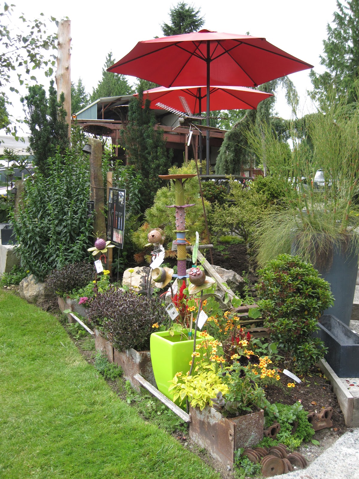 Bonney Lassie: A Visit to Dragonfly Farms Nursery