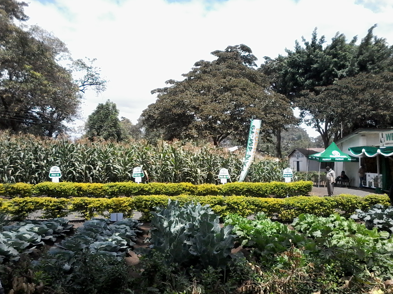 Times in Tanzania: Holiday: Nane Nane-Farmer's day in Tanzania (Guest ...