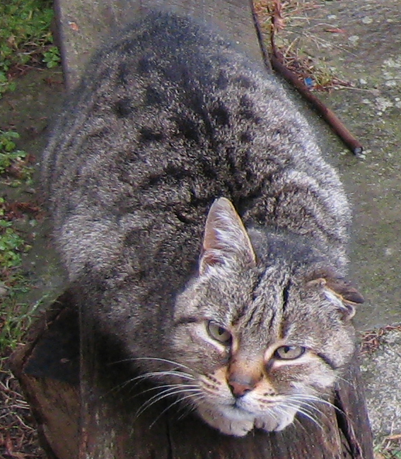 montaonda (uno sguardo privato): Bollettino n.33: Ritorno a casa