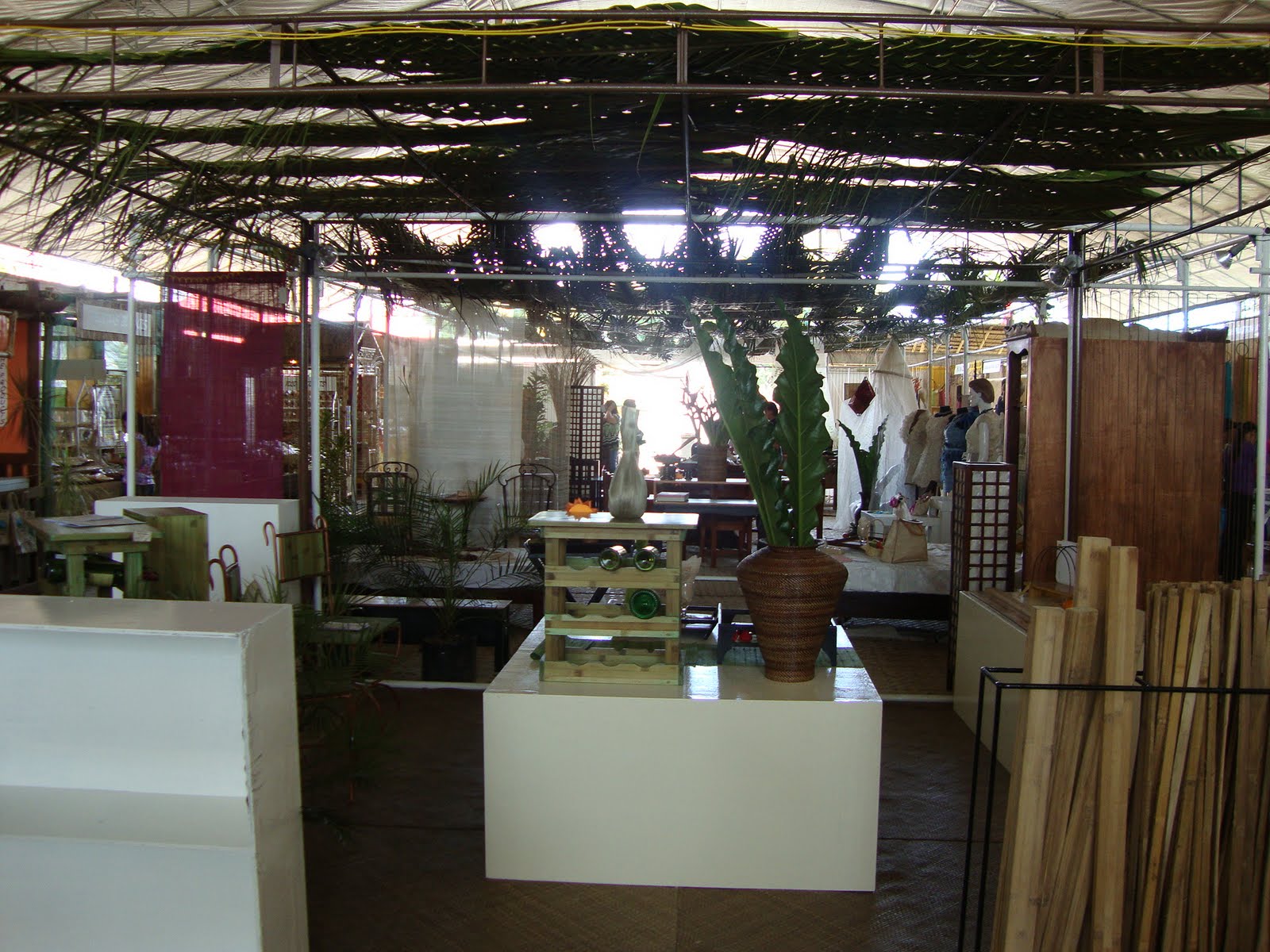 Aklan Trotter: AKLAN PIÑA & FIBER FESTIVAL