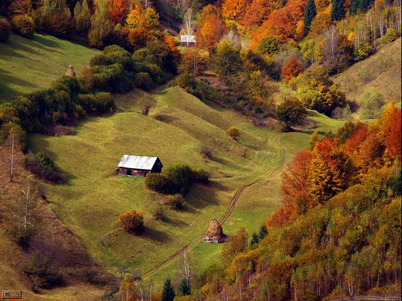 Best WallPapers: Romanian Autumn Best Wallpapers