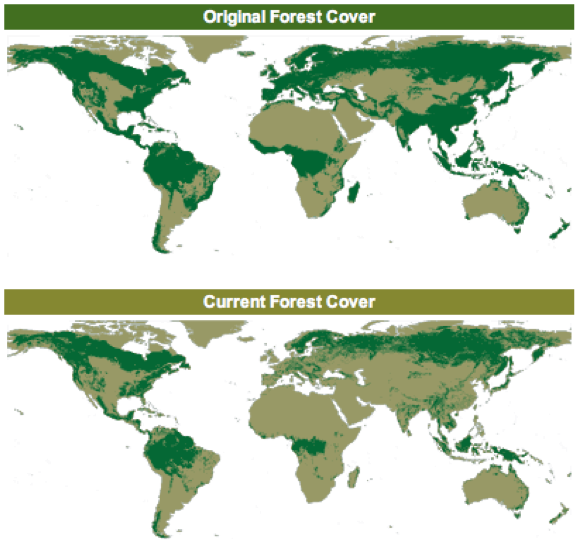 From the Shadow of the Tetons: Understanding Climate Change Part 6 ...