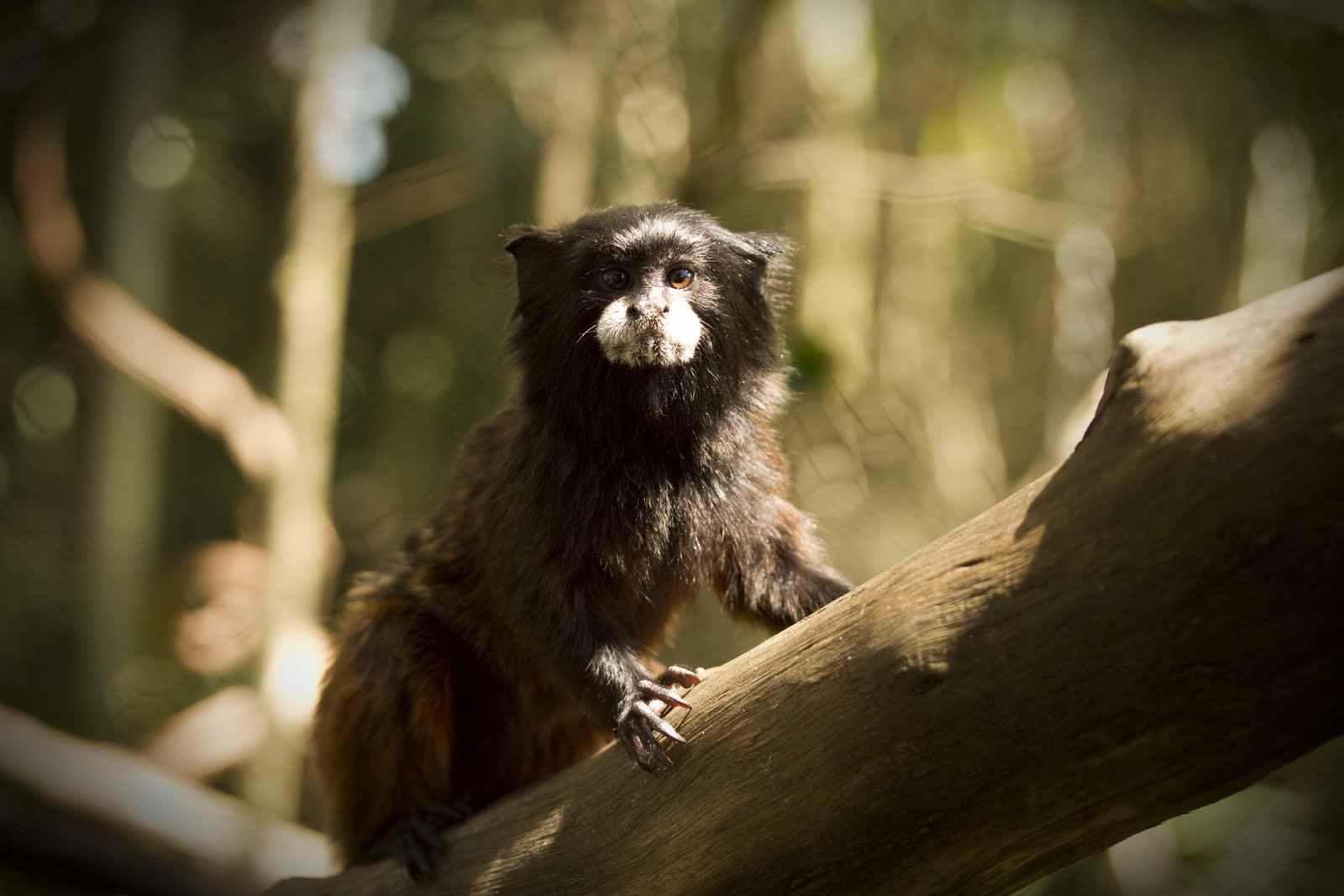 RANCHO FÀTIMA: RANCHO FATIMA