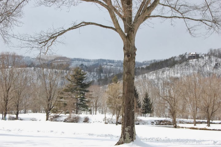 Slone Ranger: Winter at The Greenbrier