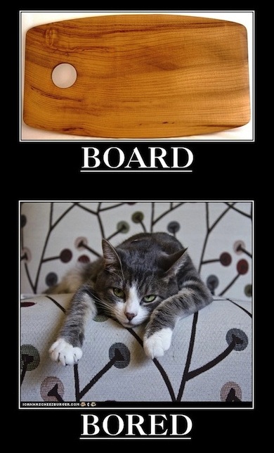 Online Course Announcements: Tuesday, March 21