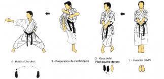 JKA NIKKEY ASSOCIACAO ARAPONGUENSE: Posições - Dachi e Golpes (Tecnicas ...