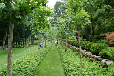 Juniper Hill: New Hampshire-Vermont Garden Conservancy Open Days 2012