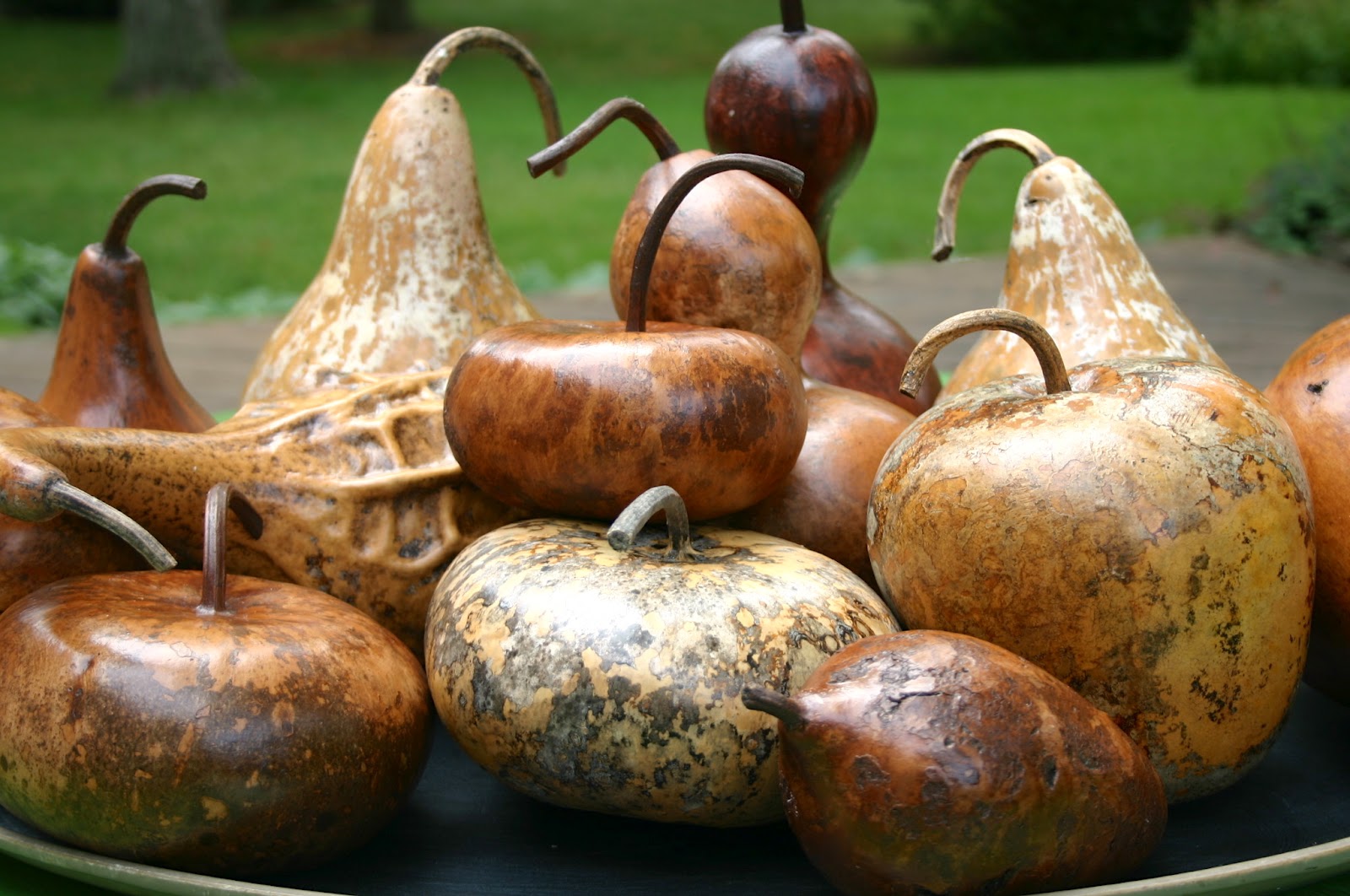 Georgia's: Sneak Peek!