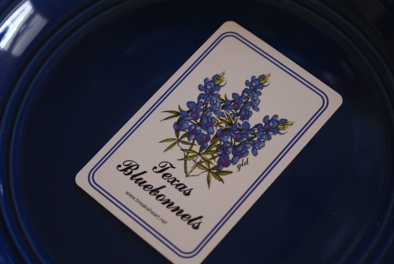 TEA IN TEXAS: Bluebonnets Beauty